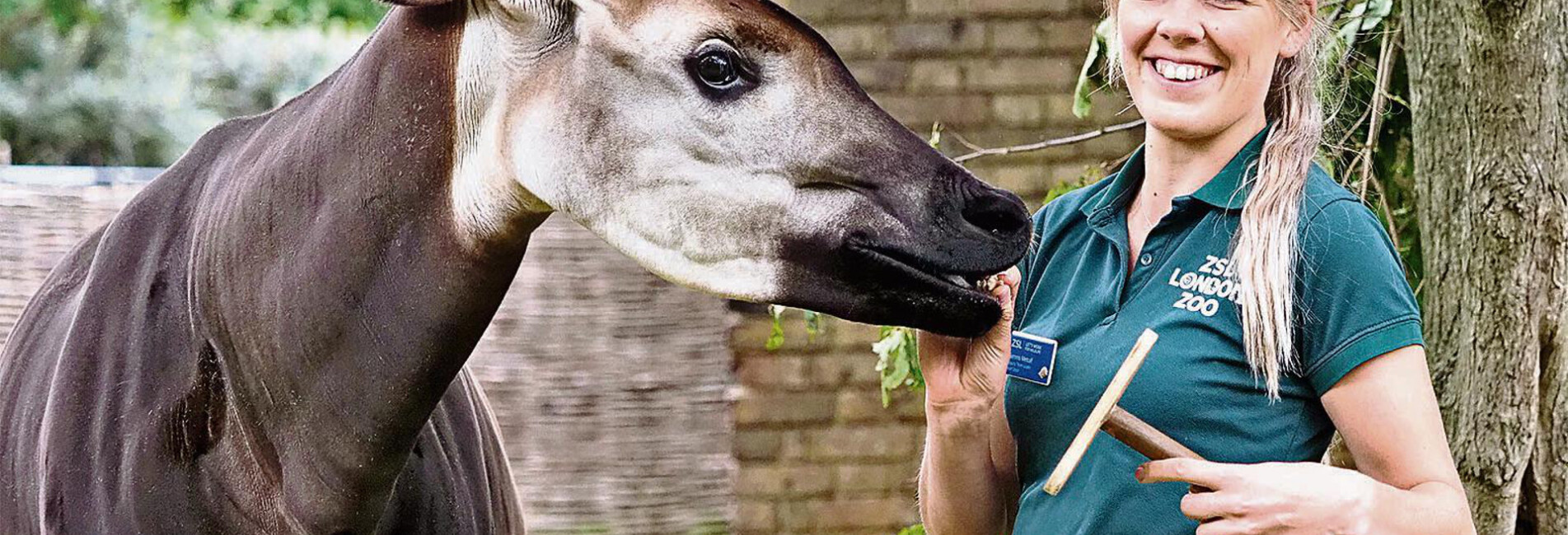 ΣΤΟ ΖΩΟΛΟΓΙΚΟ ΠΑΡΚΟ (THE SECRET LIFE OF THE ZOO) | Star TV