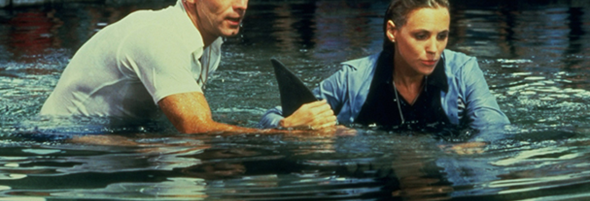 ΤΑ ΣΑΓΟΝΙΑ ΤΟΥ ΚΑΡΧΑΡΙΑ Νο 3 (JAWS 3) | Star TV