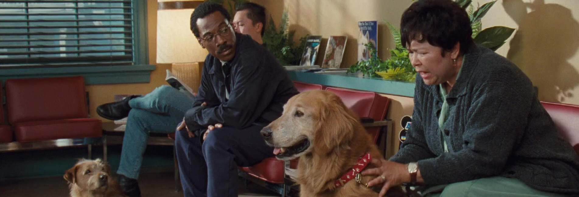 Ο ΓΙΑΤΡΟΣ ΤΡΕΛΑΘΗΚΕ (DOCTOR DOLITTLE) | Star TV