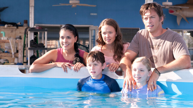 DOLPHIN TALE | Star TV
