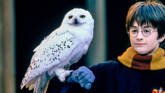 Ο ΧΑΡΙ ΠΟΤΕΡ ΚΑΙ Η ΦΙΛΟΣΟΦΙΚΗ ΛΙΘΟΣ (HARRY POTTER AND THE PHILOSOPHER'S ...