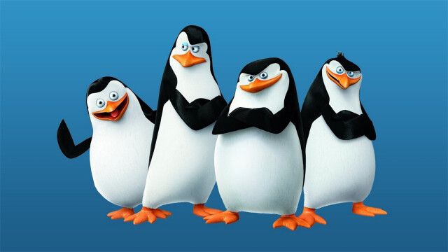 ΟΙ ΠΙΓΚΟΥΪΝΟΙ ΤΗΣ ΜΑΔΑΓΑΣΚΑΡΗΣ (PENGUINS OF MADAGASCAR) | Star TV
