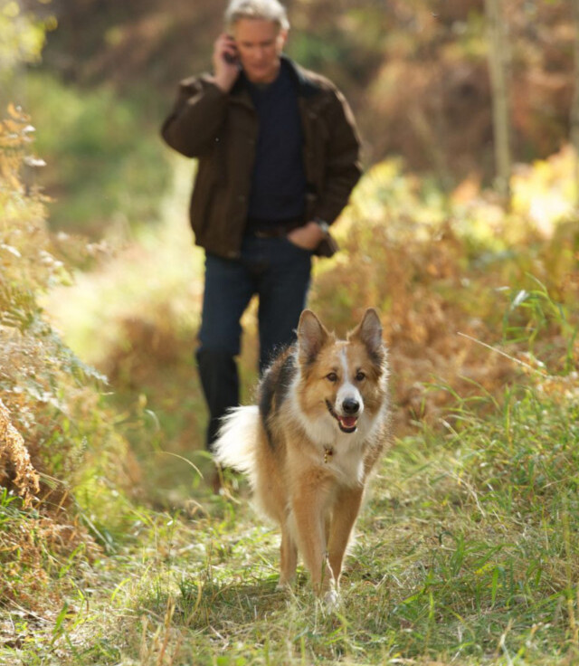 ΑΤΙΘΑΣΗ ΣΥΝΤΡΟΦΙΑ (DARLING COMPANION) | Star TV