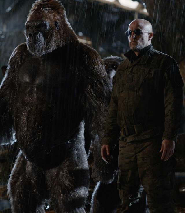 Ο ΠΛΑΝΗΤΗΣ ΤΩΝ ΠΙΘΗΚΩΝ: Η ΣΥΓΚΡΟΥΣΗ (WAR FOR THE PLANET OF THE APES ...